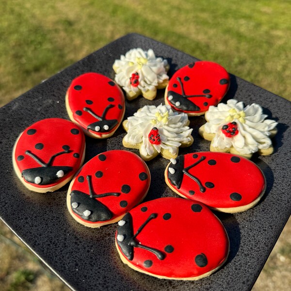 Ladybug Cookies - Etsy