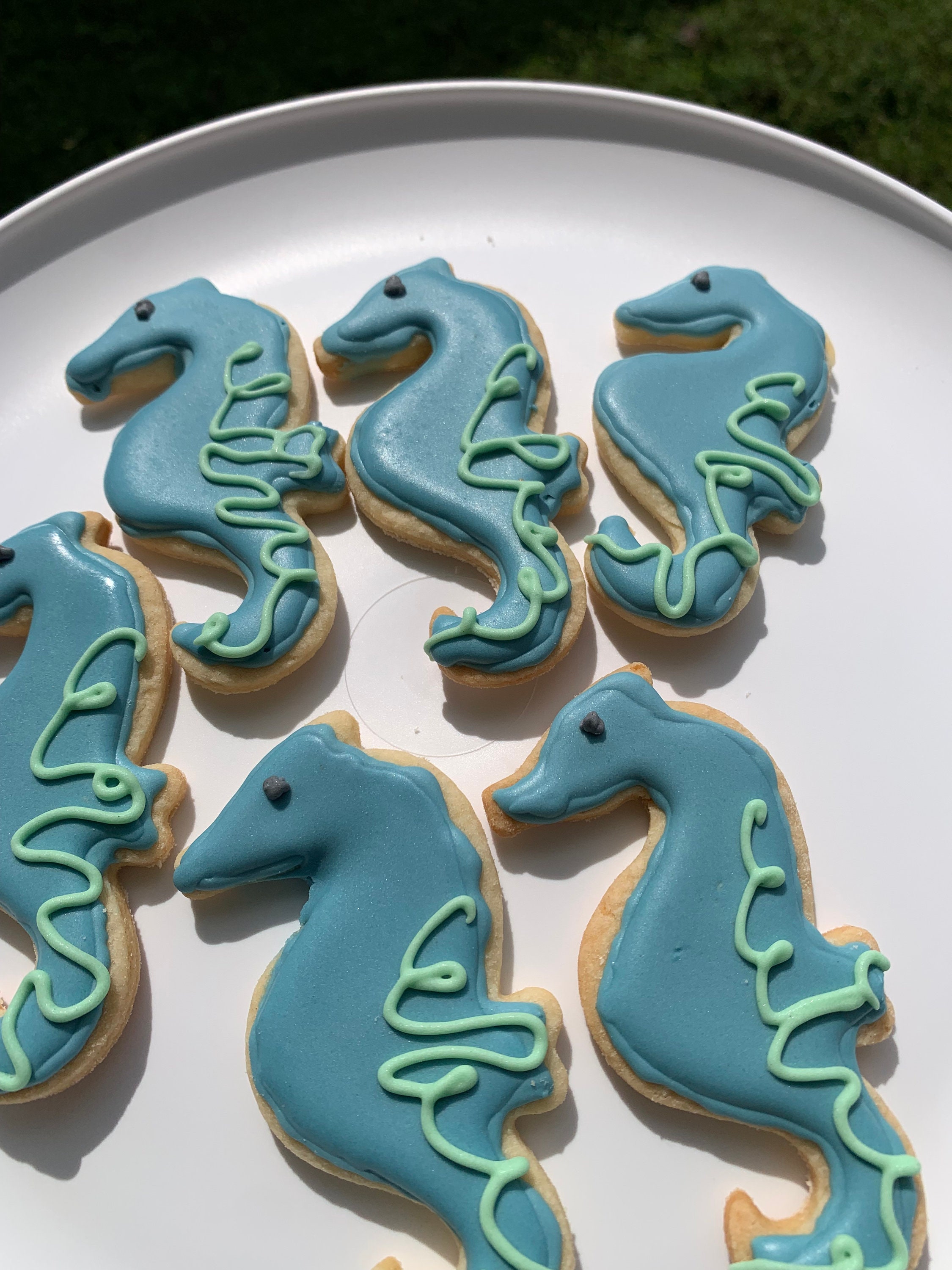 Seahorse Sugar Cookies - Etsy