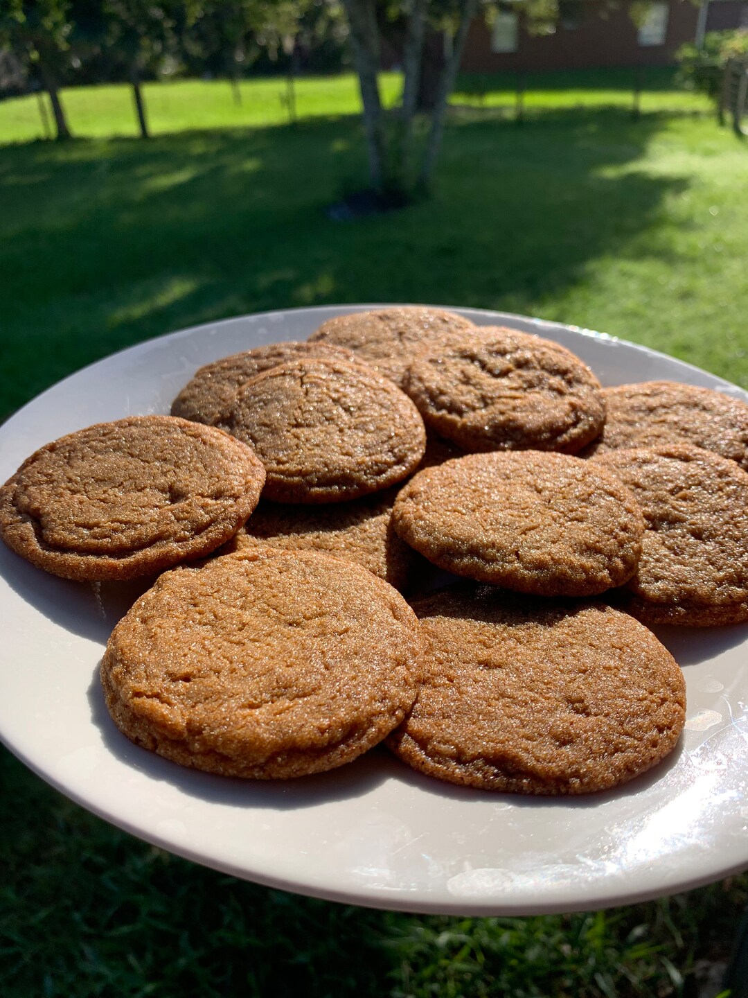 Ginger Molasses Cookies (12) - Etsy