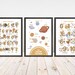 Solar System Educational Framed Poster Science Classroom Decoration ...