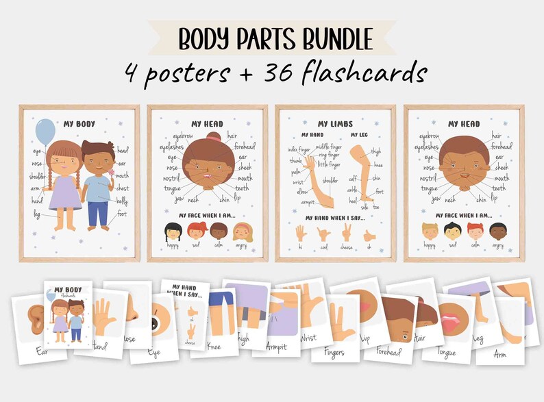 Body Parts Posters + Flashcards Bundle | Preschool Flash Cards | Human ...