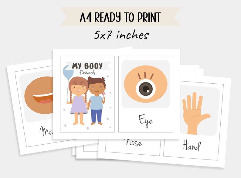 Body Parts Posters + Flashcards Bundle | Preschool Flash Cards | Human ...