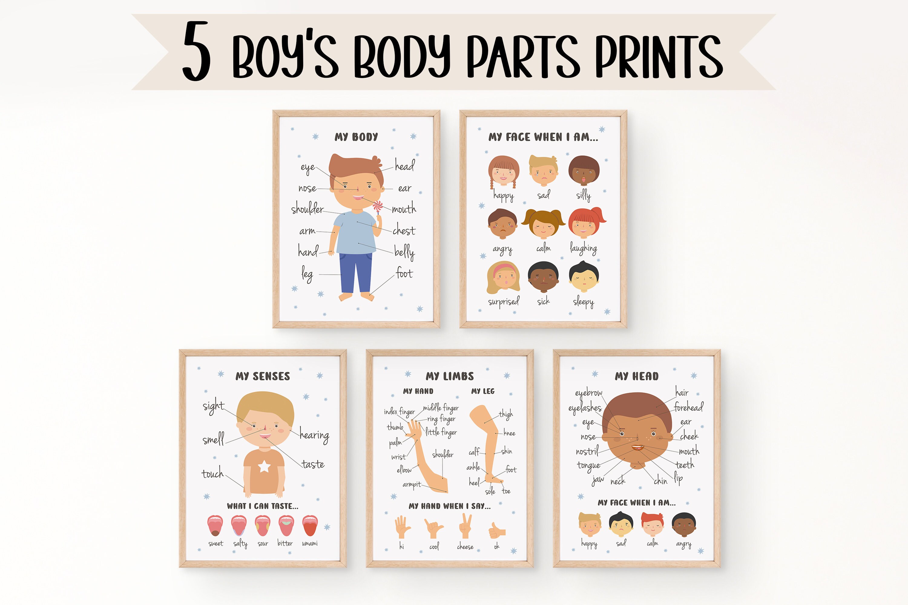 Boy's My Body Parts Educational Poster Set Montessori Human Anatomy for ...