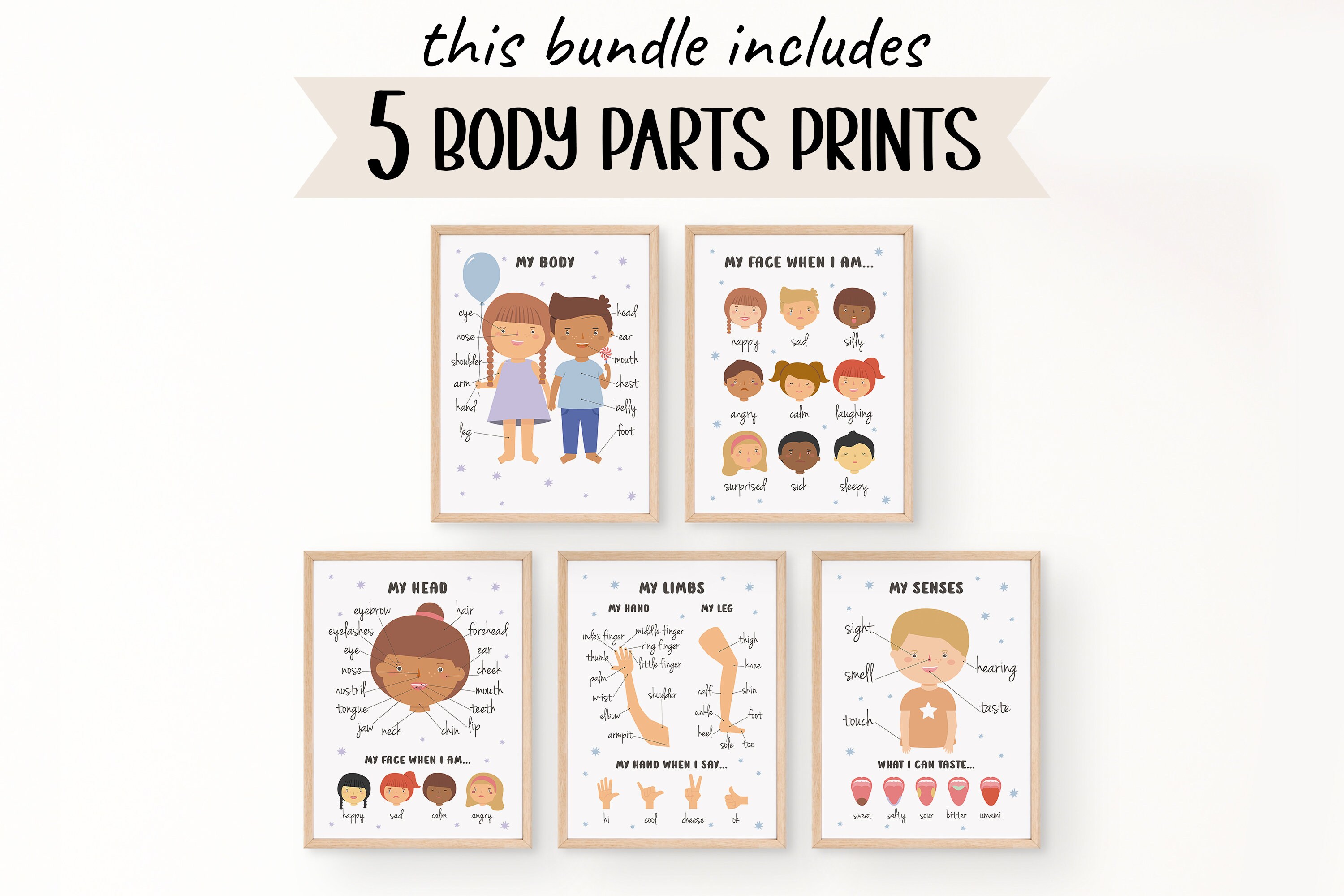 Science Classroom Poster Set Montessori Homeschool Decor Space, Body ...