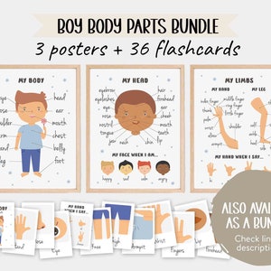 Body Parts Flashcards | Preschool Flash Card | Human Anatomy & Organs ...
