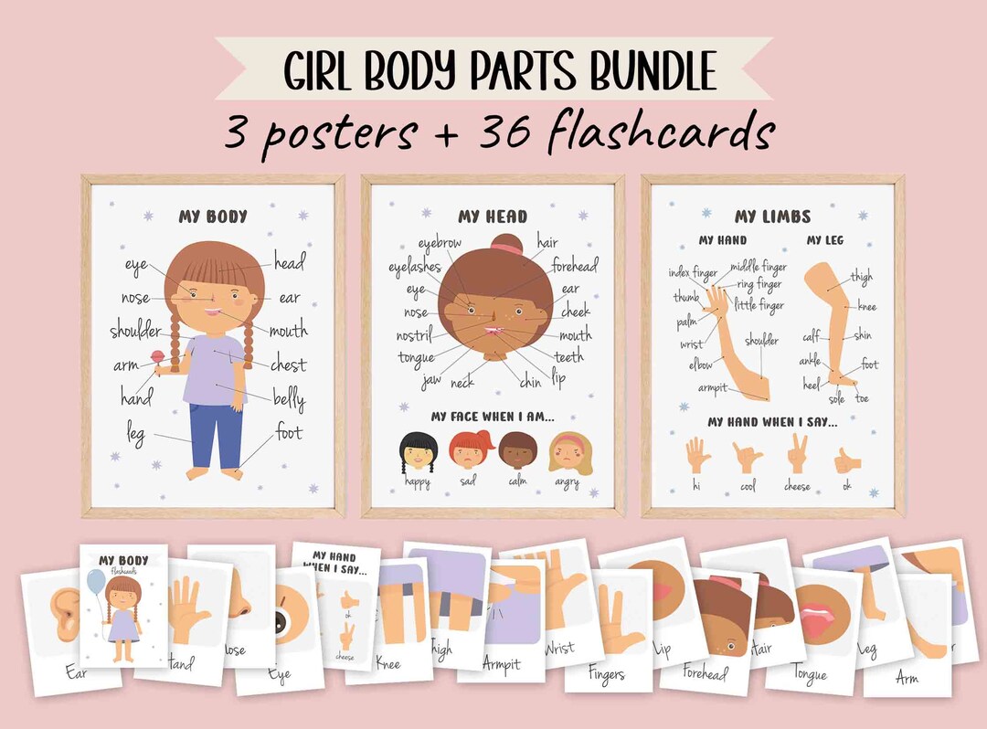 Body Parts Posters + Flashcards Bundle | Preschool Flash Cards | Human ...