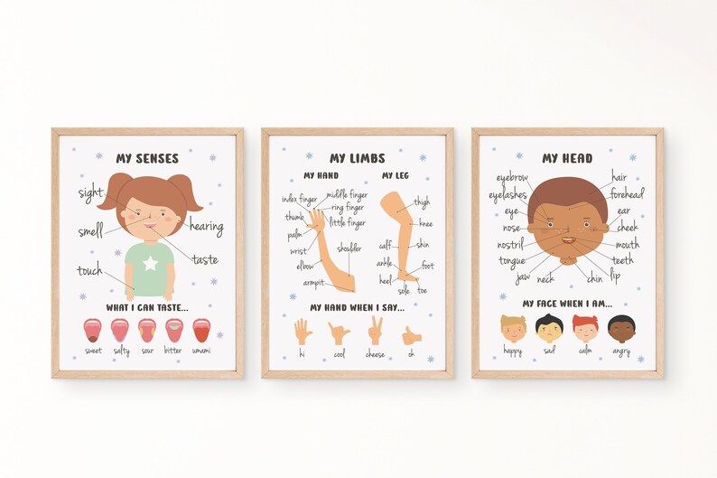 Girl's My Body Parts Educational Poster Set | Montessori Human Anatomy ...