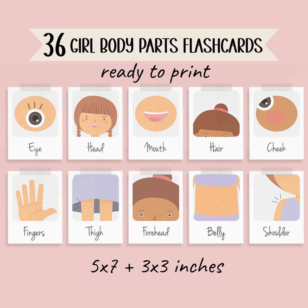 Body Parts Flashcards | Preschool Flash Card | Human Anatomy & Organs ...