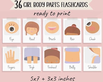 Body Parts Flashcards | Preschool Flash Card | Human Anatomy & Organs ...