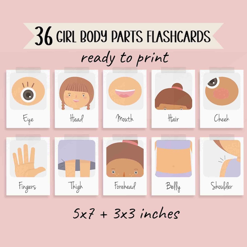 Body Parts Flashcards | Preschool Flash Card | Human Anatomy & Organs ...