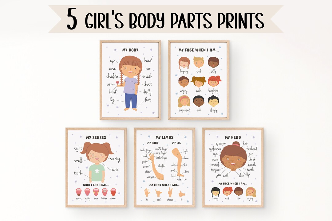 Girl's My Body Parts Educational Poster Set | Montessori Human Anatomy ...