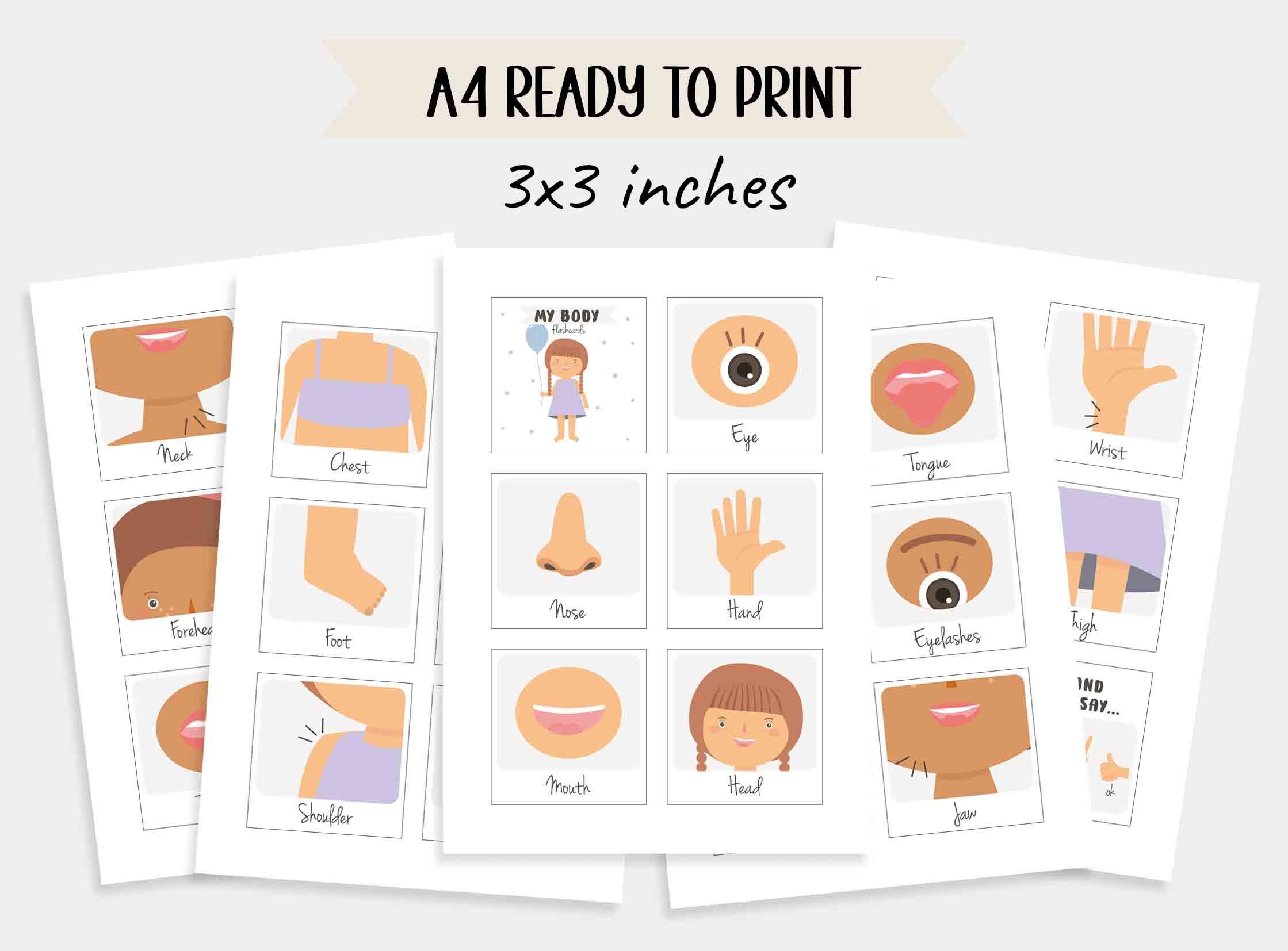 Body Parts Posters Flashcards Bundle Preschool Flash Cards - Etsy