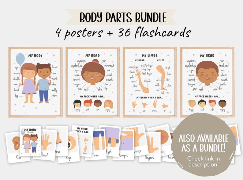 Tarjetas didácticas de partes del cuerpo / Tarjeta flash preescolar ...