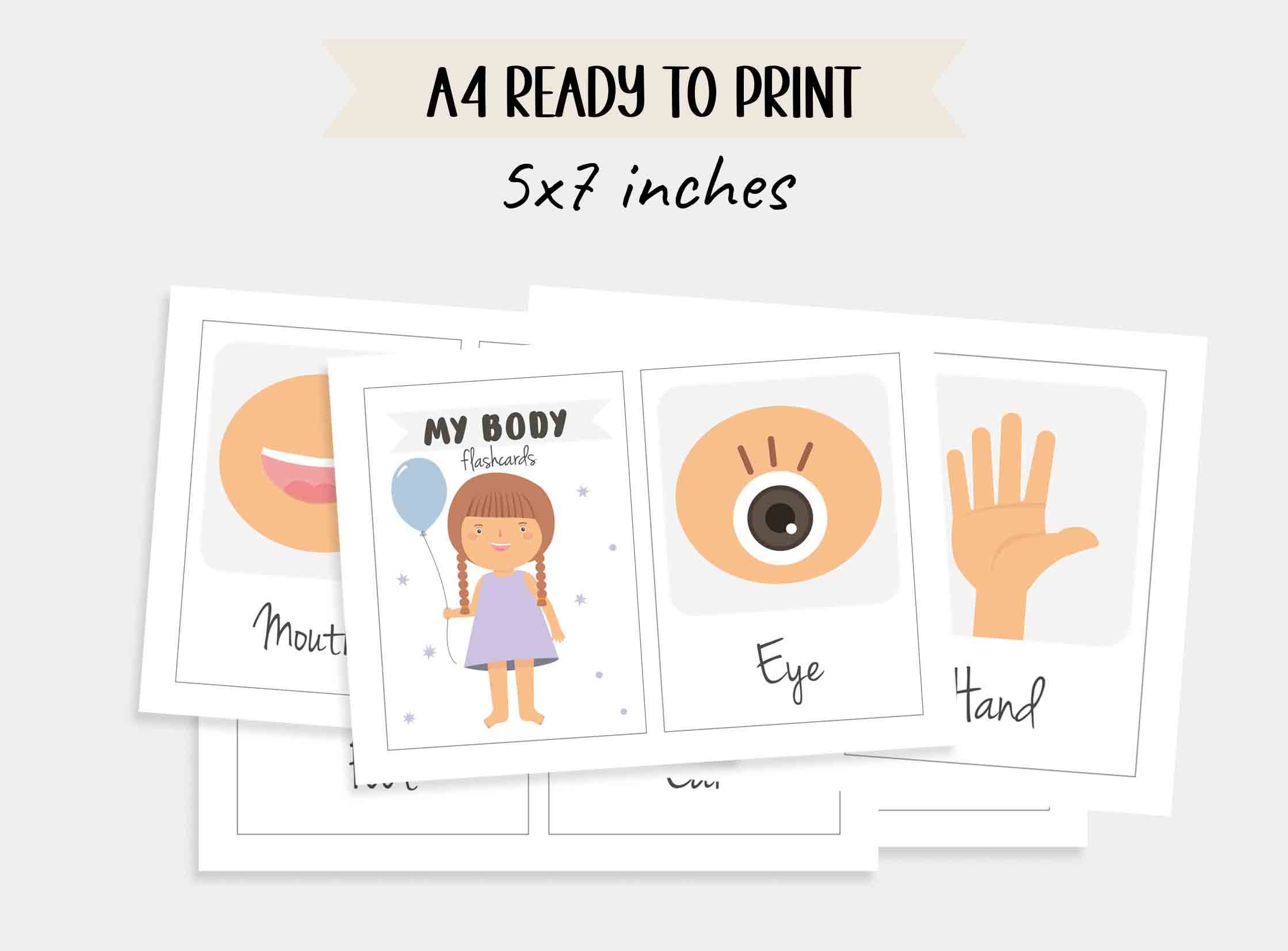 Body Parts Posters Flashcards Bundle Preschool Flash Cards - Etsy