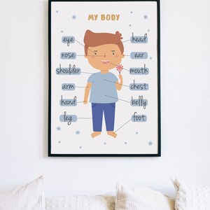 My Body Parts Poster | Montessori Homeschool Educational Poster for ...