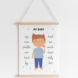 My Body Parts Poster | Montessori Homeschool Educational Poster for ...