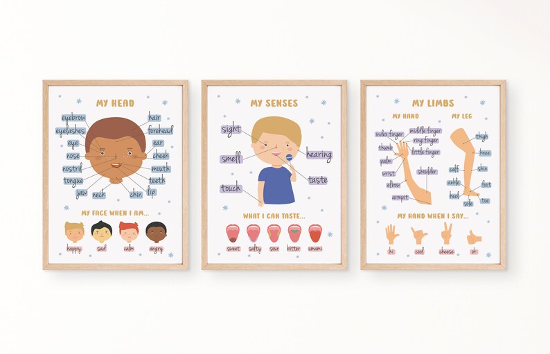 Boy's My Body Parts Educational Poster Set | Montessori Human Anatomy ...