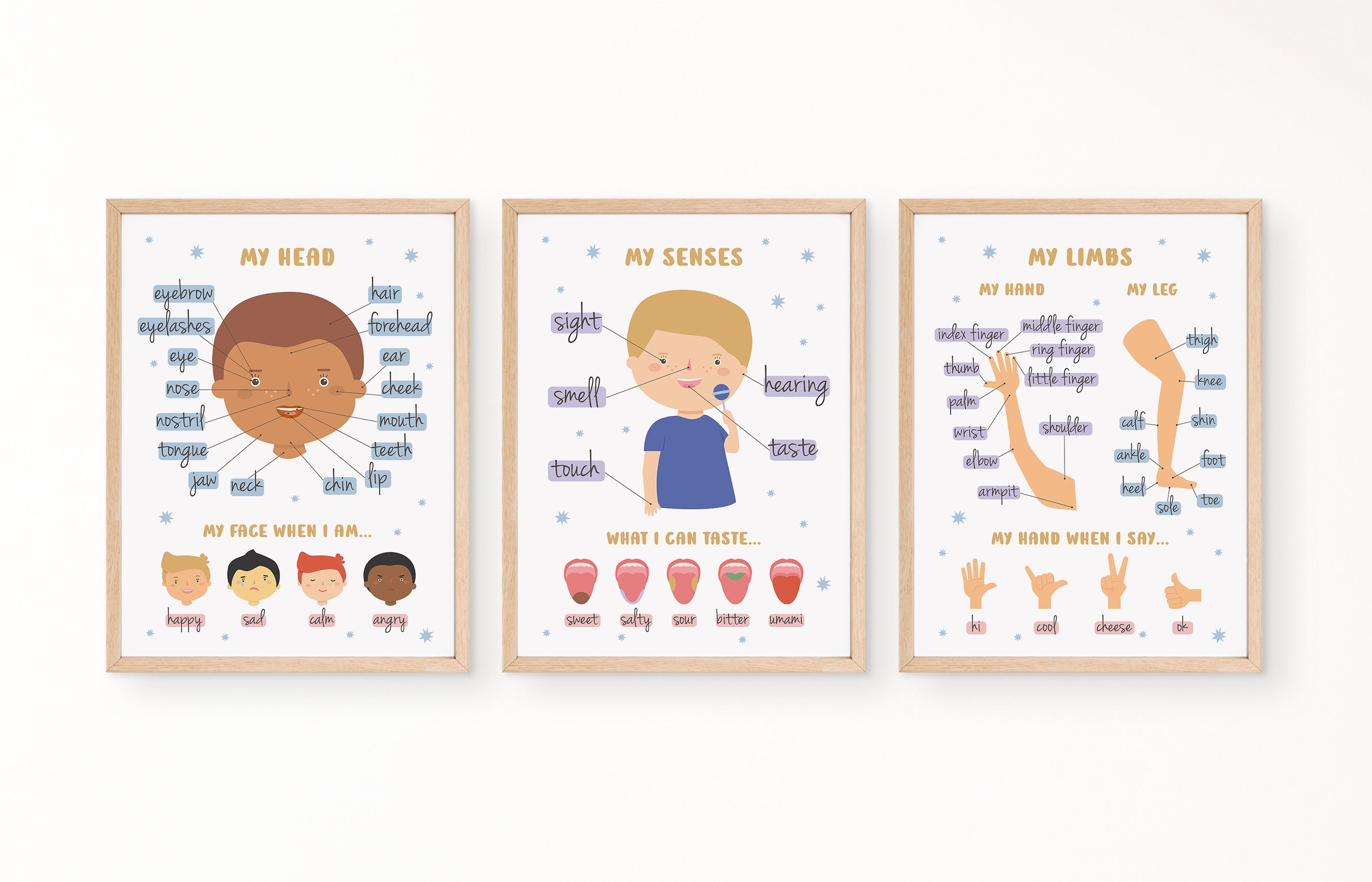 Boy's My Body Parts Educational Poster Set | Montessori Human Anatomy ...