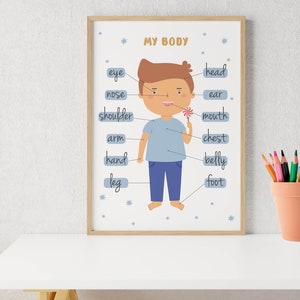 My Body Parts Poster | Montessori Homeschool Educational Poster for ...