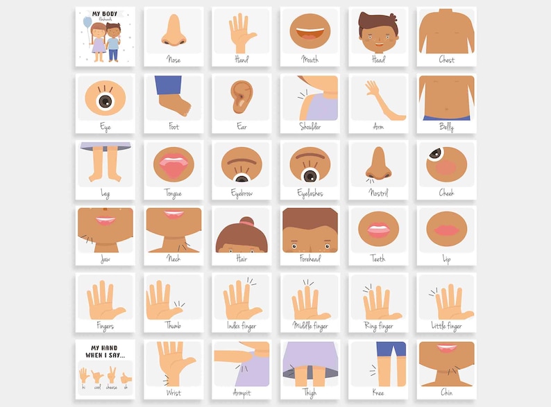 Carteles de partes del cuerpo Paquete de tarjetas didácticas / Tarjetas ...