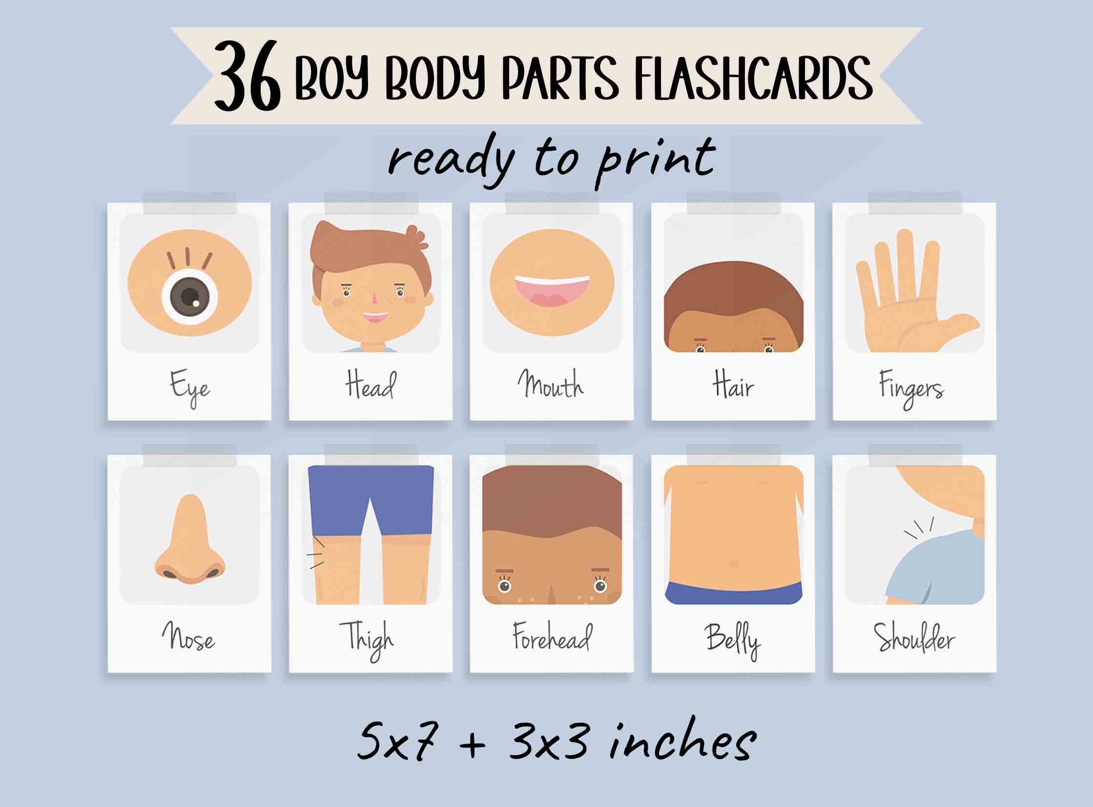 Body Parts Posters + Flashcards Bundle | Preschool Flash Cards | Human ...