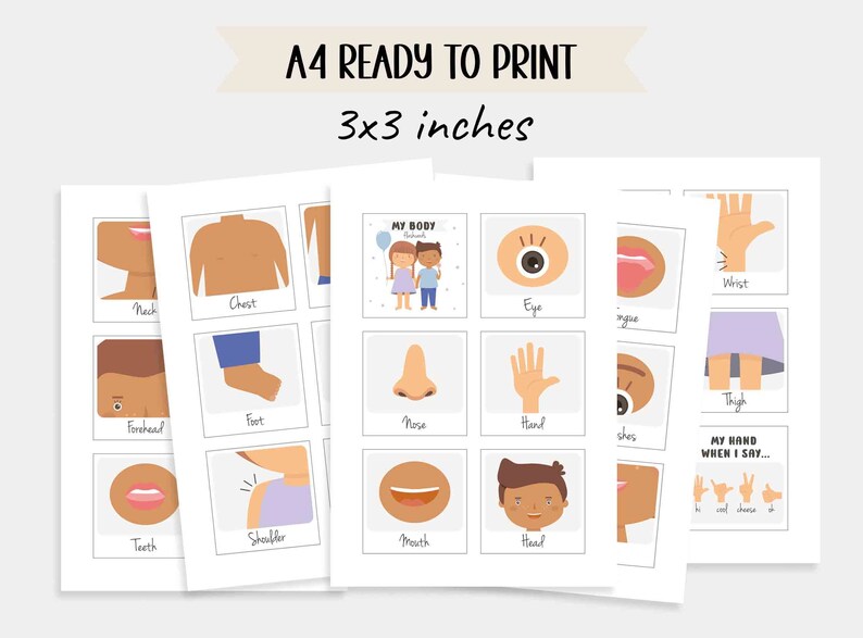 Body Parts Posters + Flashcards Bundle | Preschool Flash Cards | Human ...