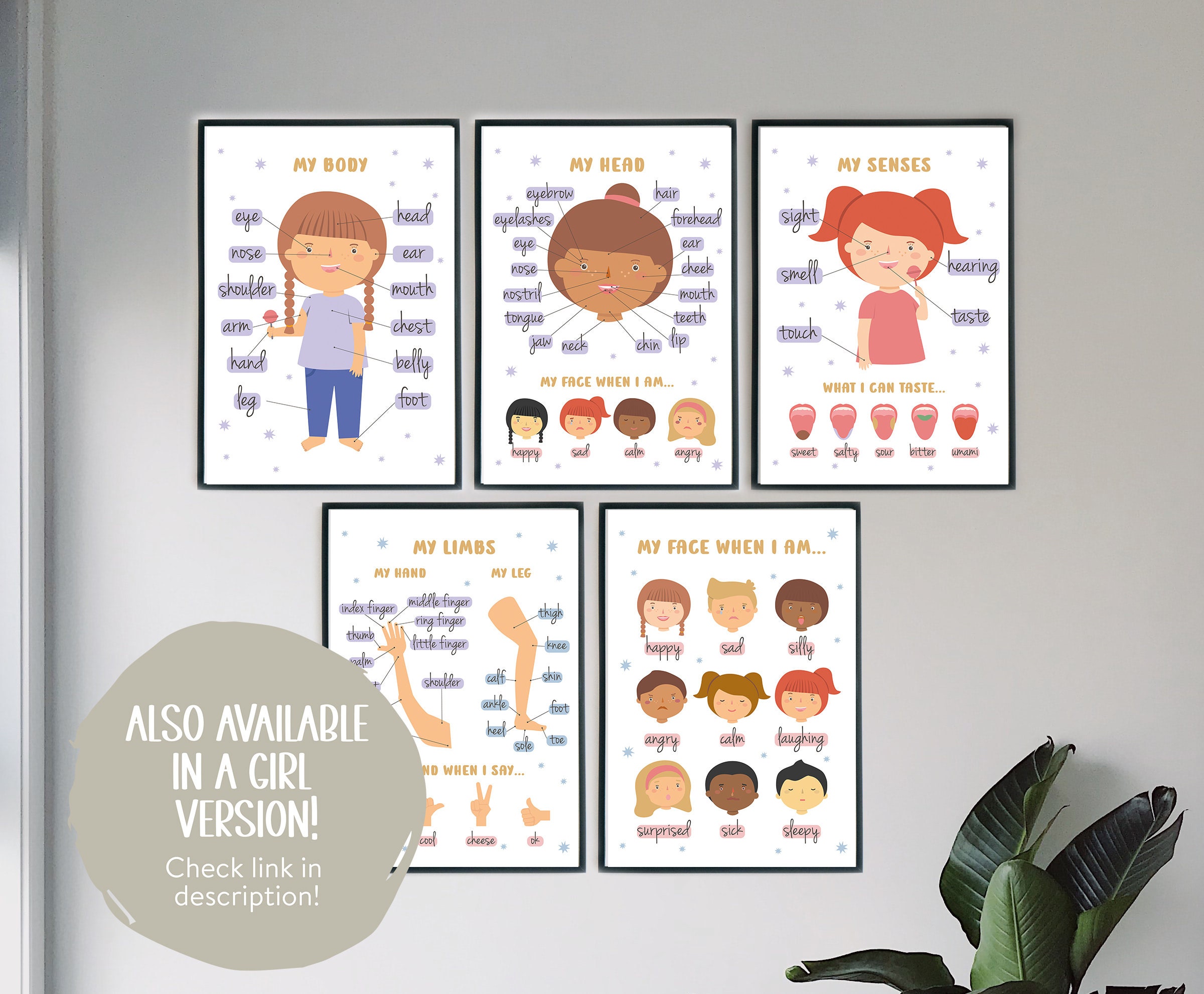 Boy's My Body Parts Educational Poster Set | Montessori Human Anatomy ...