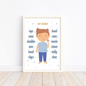 My Body Parts Poster | Montessori Homeschool Educational Poster for ...