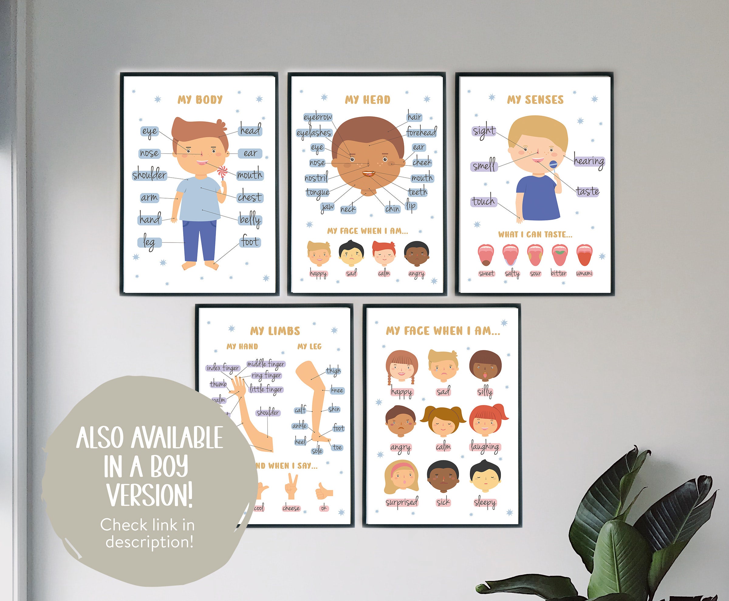 Girl's My Body Parts Educational Poster Set | Montessori Human Anatomy ...