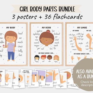 Body Parts Flashcards | Preschool Flash Card | Human Anatomy & Organs ...