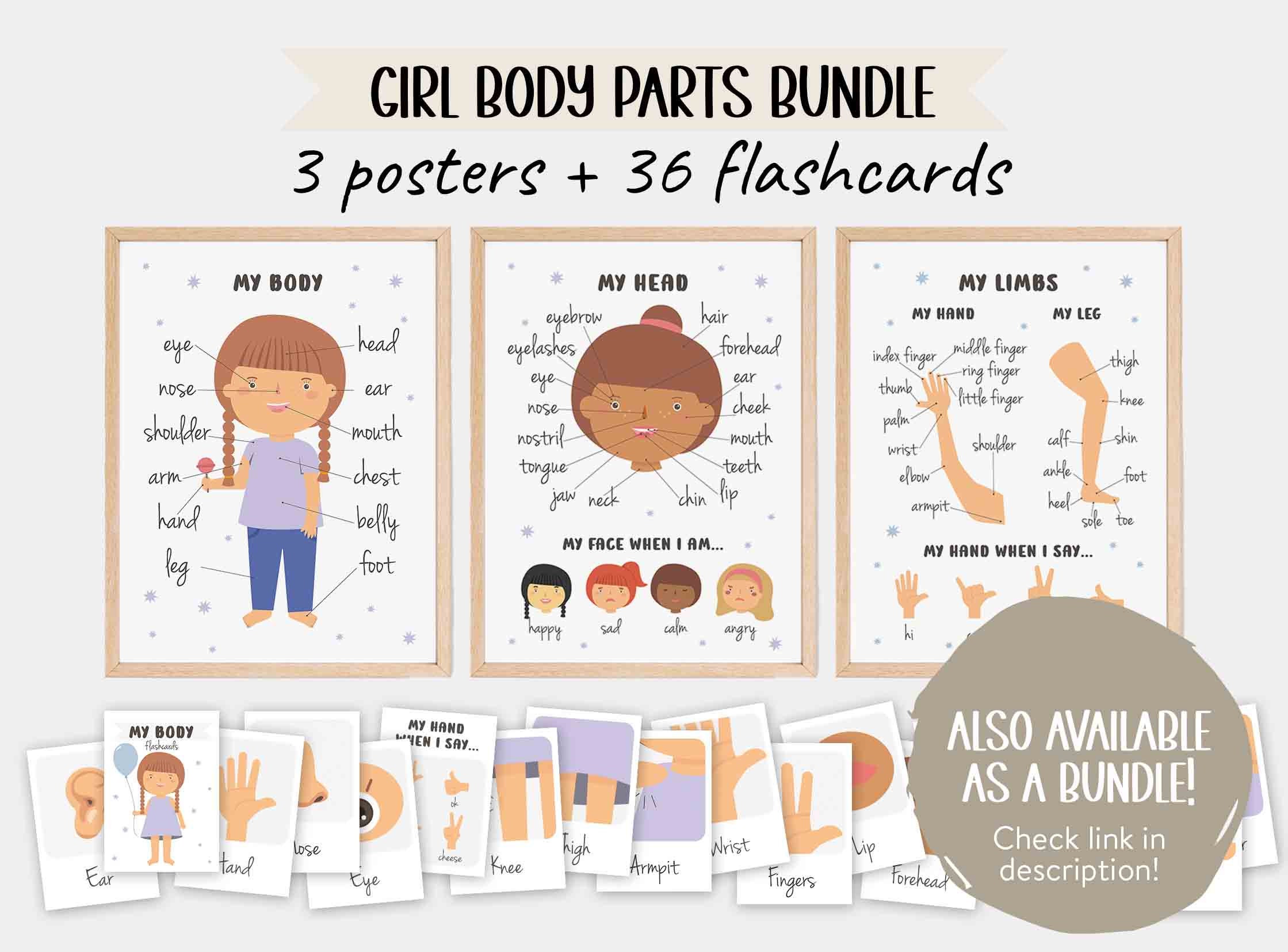 Body Parts Flashcards | Preschool Flash Card | Human Anatomy & Organs ...