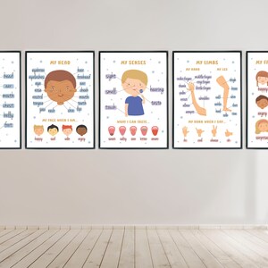 Boy's My Body Parts Educational Poster Set Montessori Human Anatomy for ...