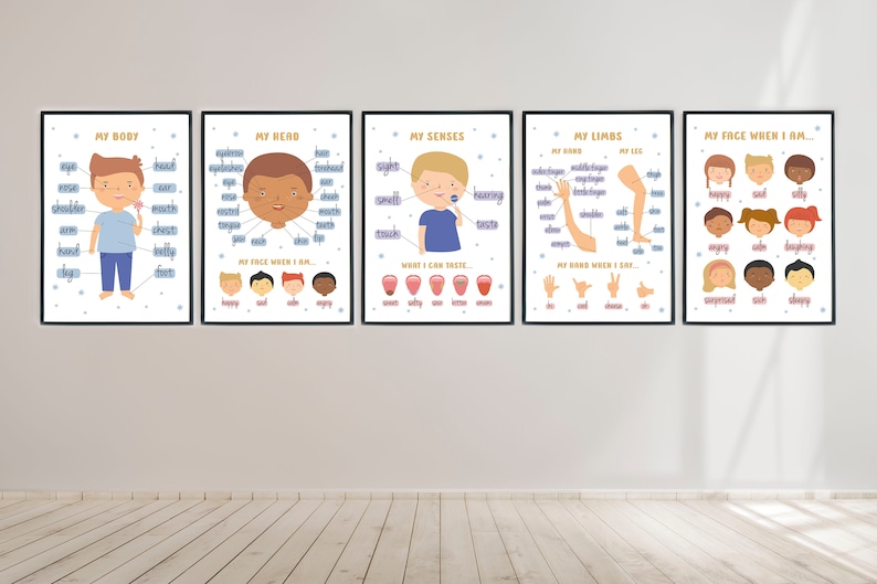 Boy's My Body Parts Educational Poster Set | Montessori Human Anatomy ...