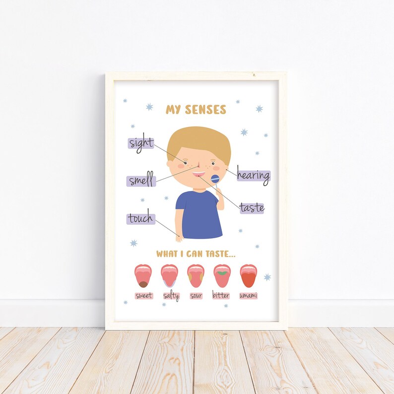 My Senses Poster Montessori Homeschool Educational Poster - Etsy