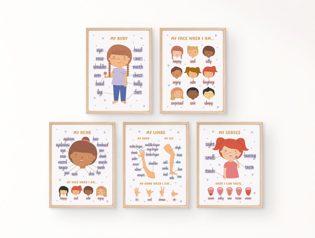 Girl's My Body Parts Educational Poster Set | Montessori Human Anatomy ...