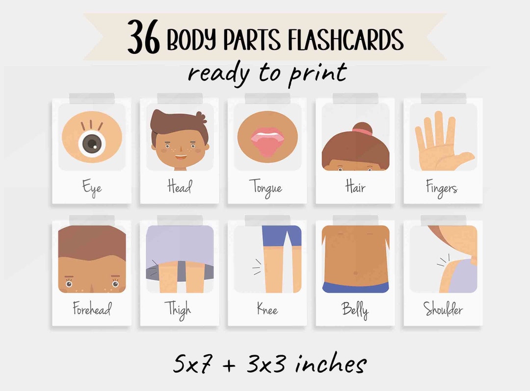 Tarjetas didácticas de partes del cuerpo / Tarjeta flash preescolar ...