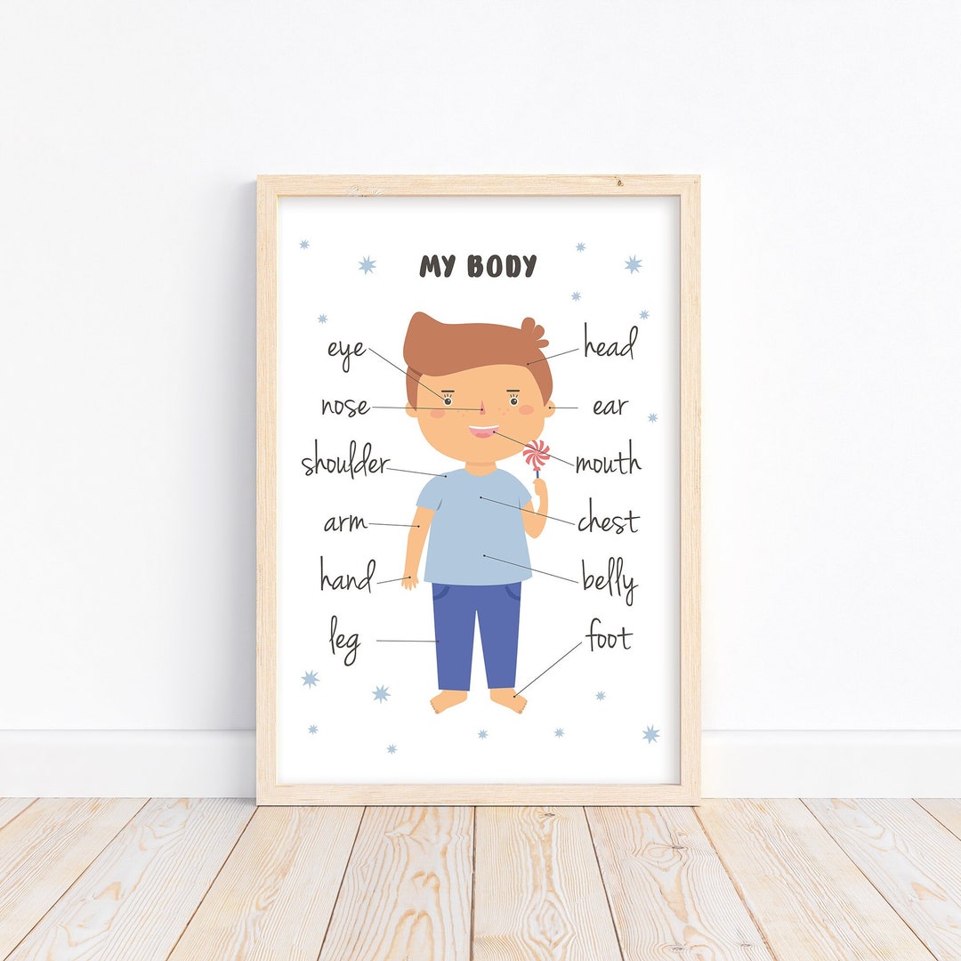 My Body Parts Poster | Montessori Homeschool Educational Poster for ...