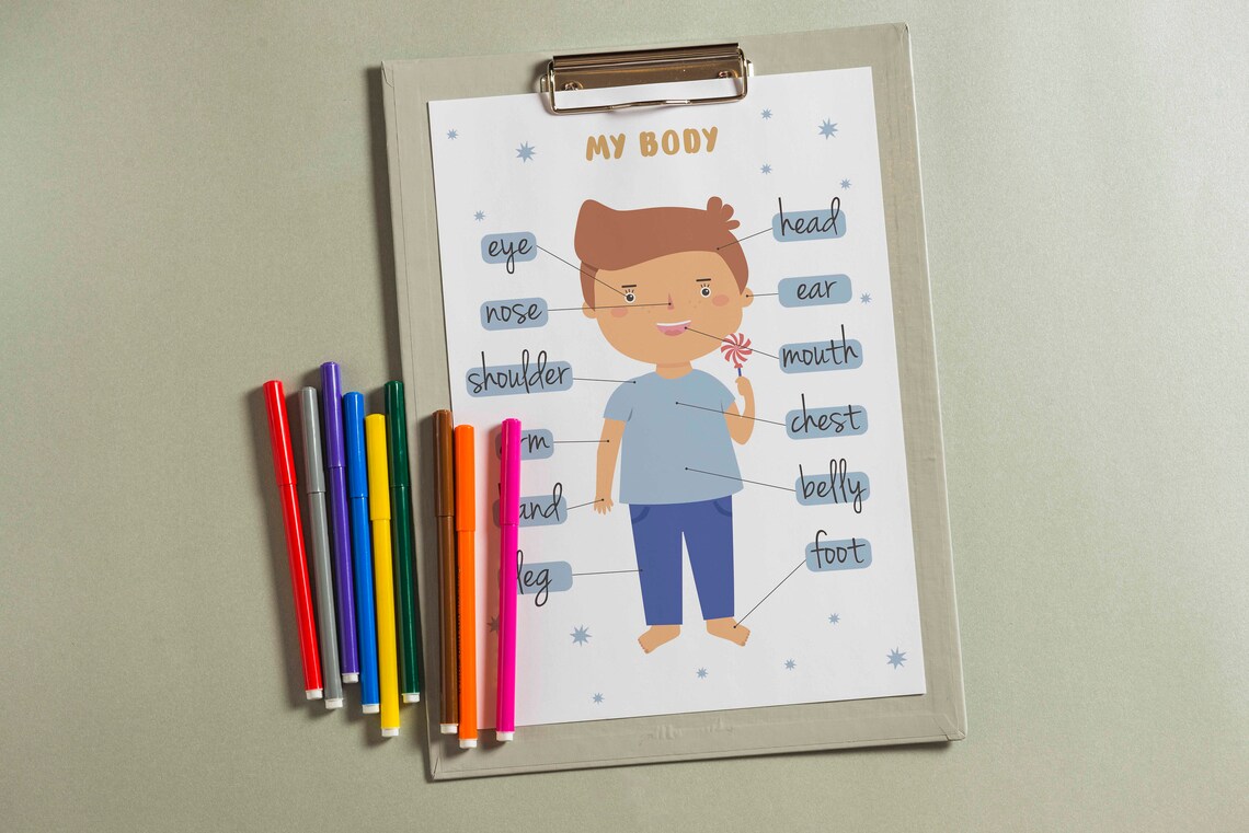 Boy's My Body Parts Educational Poster Set Montessori Human Anatomy for ...