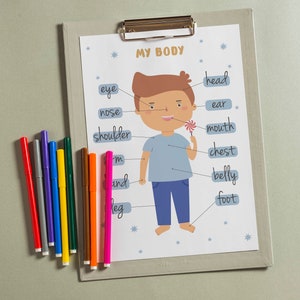 Boy's My Body Parts Educational Poster Set | Montessori Human Anatomy ...