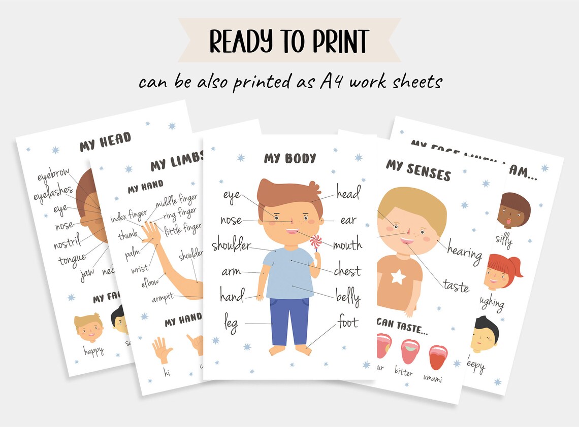 My Body Parts Poster | Montessori Homeschool Educational Poster for ...