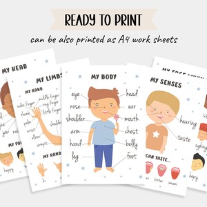 My Body Parts Poster | Montessori Homeschool Educational Poster for ...