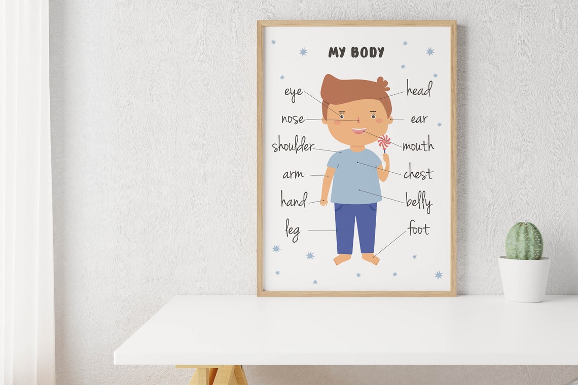 My Body Parts Poster | Montessori Homeschool Educational Poster for ...