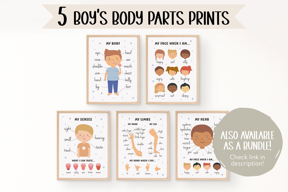 My Body Parts Poster | Montessori Homeschool Educational Poster for ...
