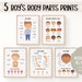 My Body Parts Poster | Montessori Homeschool Educational Poster for ...