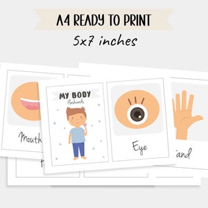 Body Parts Flashcards | Preschool Flash Card | Human Anatomy & Organs ...