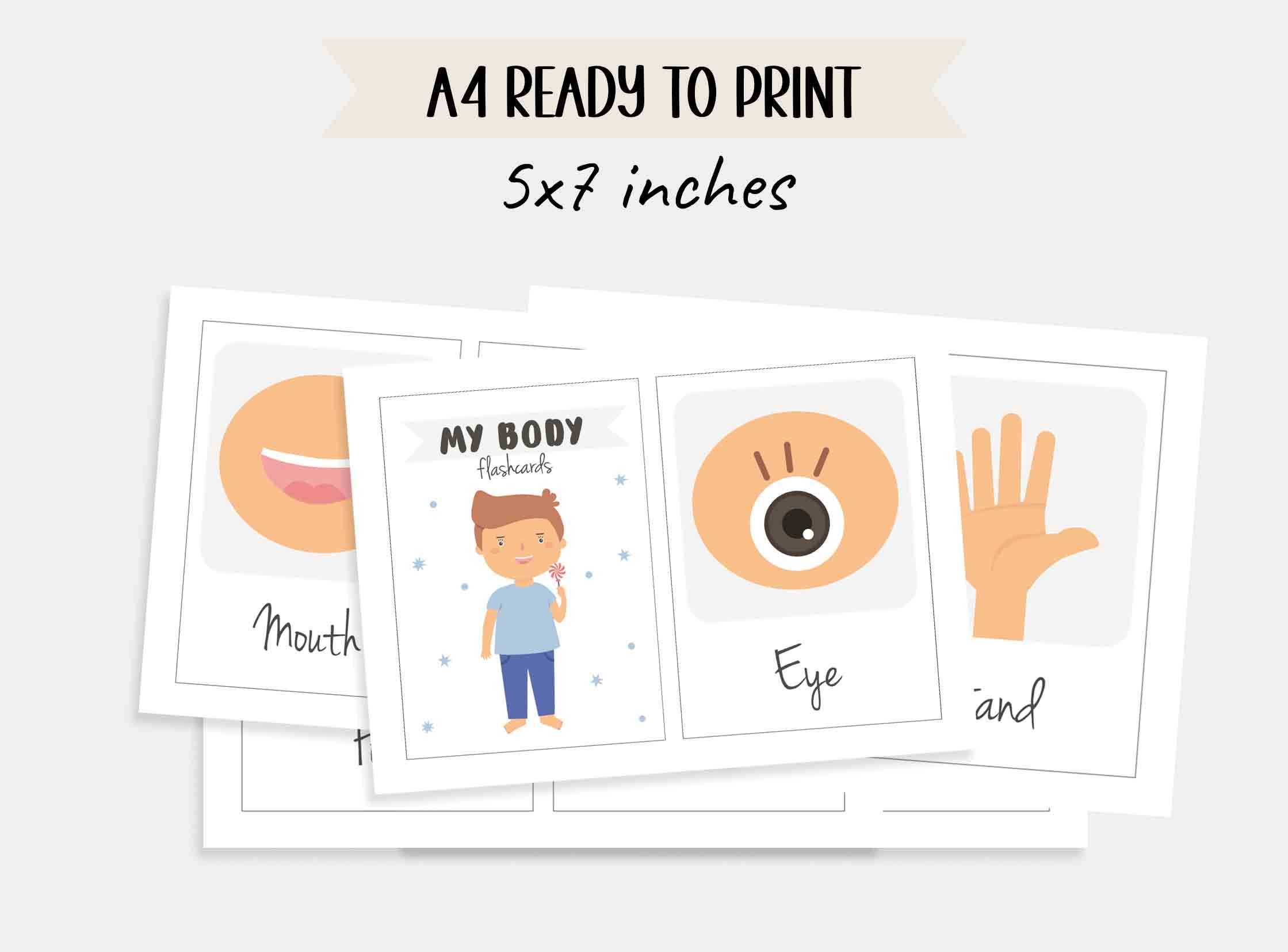 Body Parts Flashcards | Preschool Flash Card | Human Anatomy & Organs ...