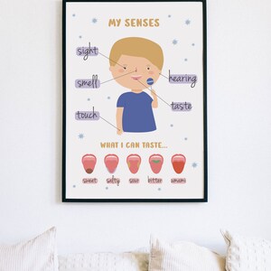 My Senses Poster | Montessori Homeschool Educational Poster for Boys ...