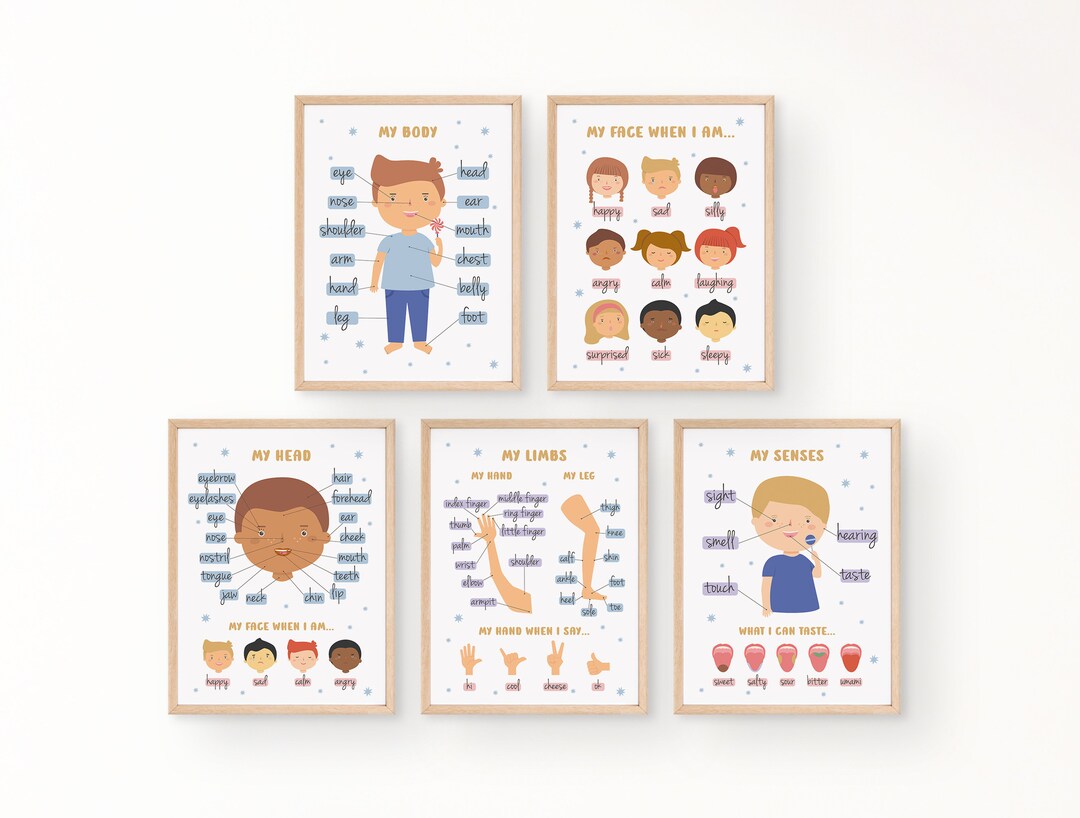 Boy's My Body Parts Educational Poster Set | Montessori Human Anatomy ...