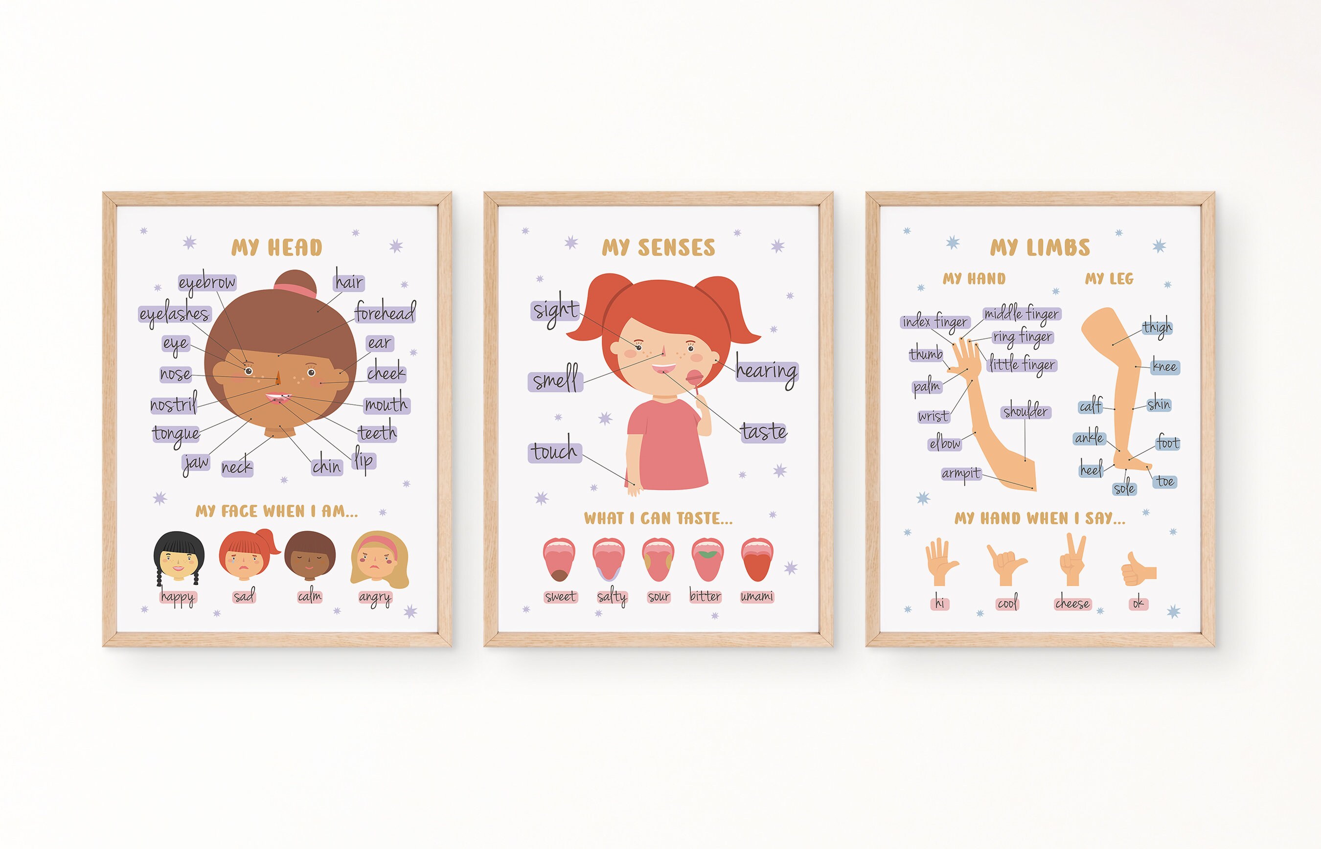 Girl's My Body Parts Educational Poster Set | Montessori Human Anatomy ...