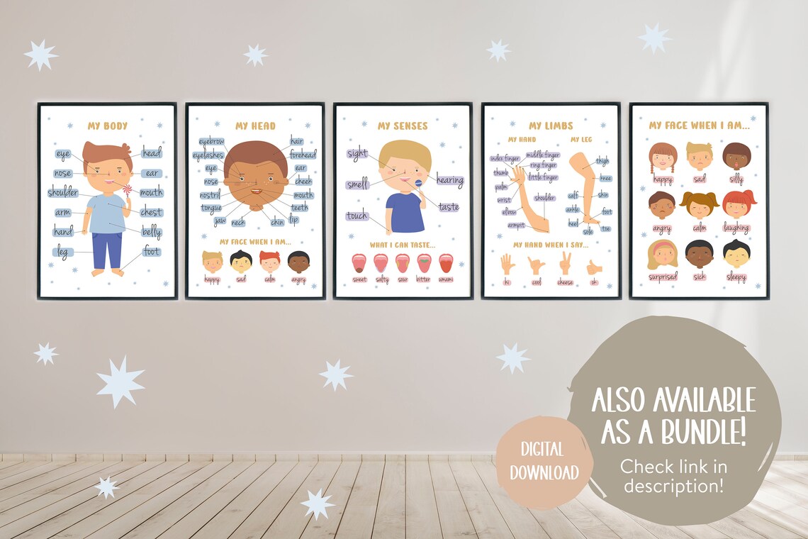 My Senses Poster Montessori Homeschool Educational Poster for Boys ...
